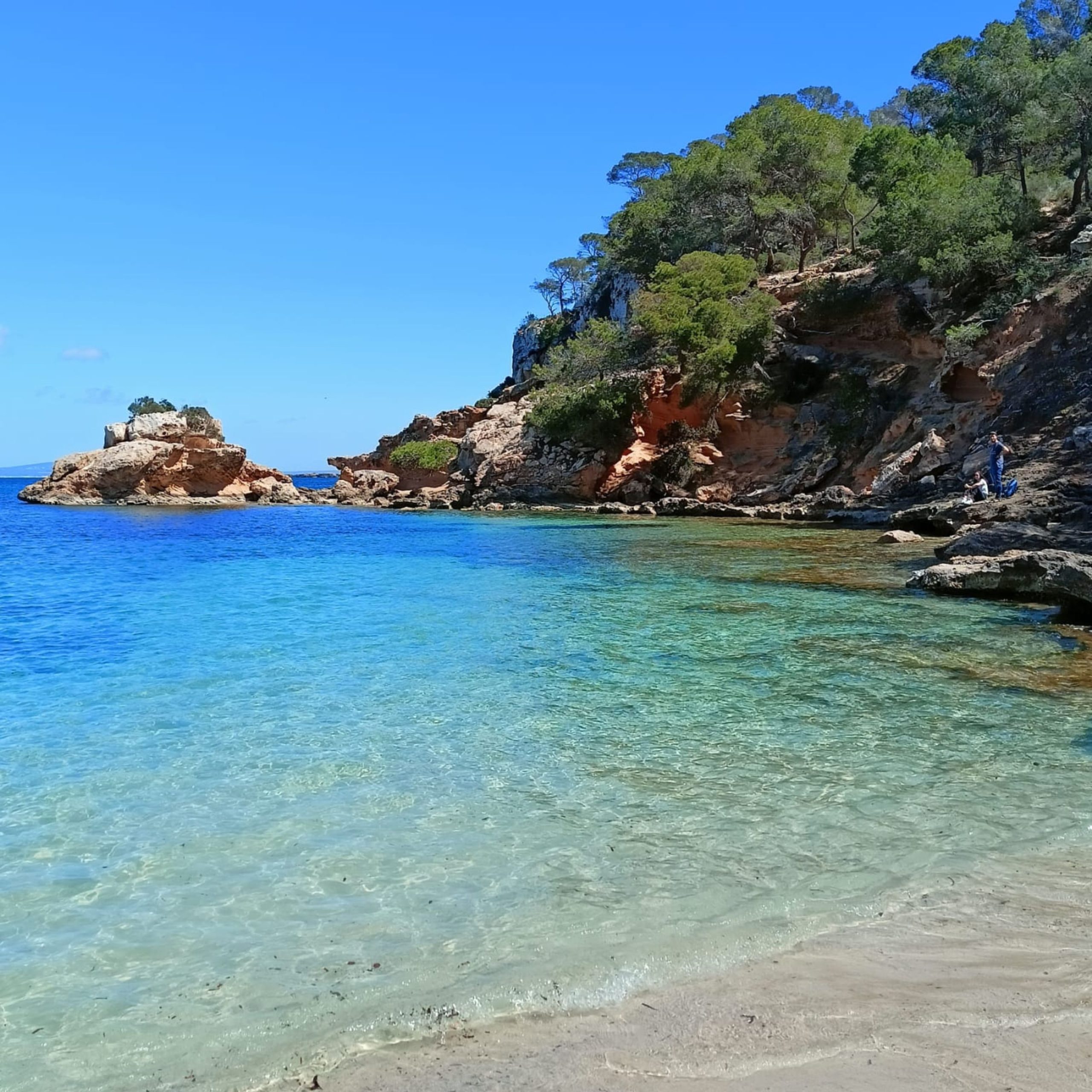 las mejores playas de mallorca | Mallorca Free Tour